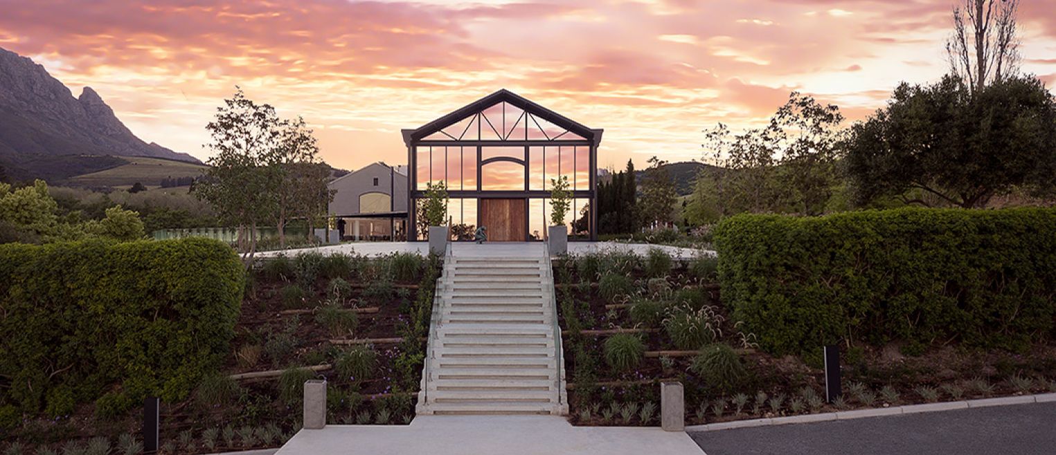 Wine & Venture Summit